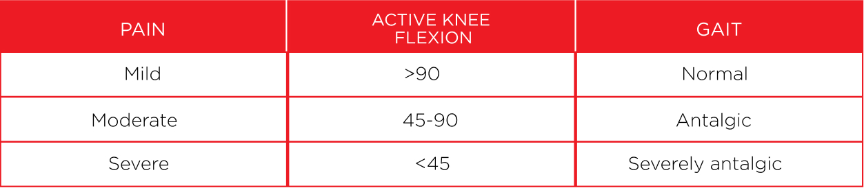 A Comprehensive Guide to Understanding and Managing Muscle Contusions ...