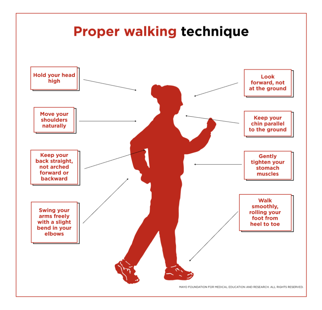 The Foundations of Fitness: Why Walking Works - Ultrax AI